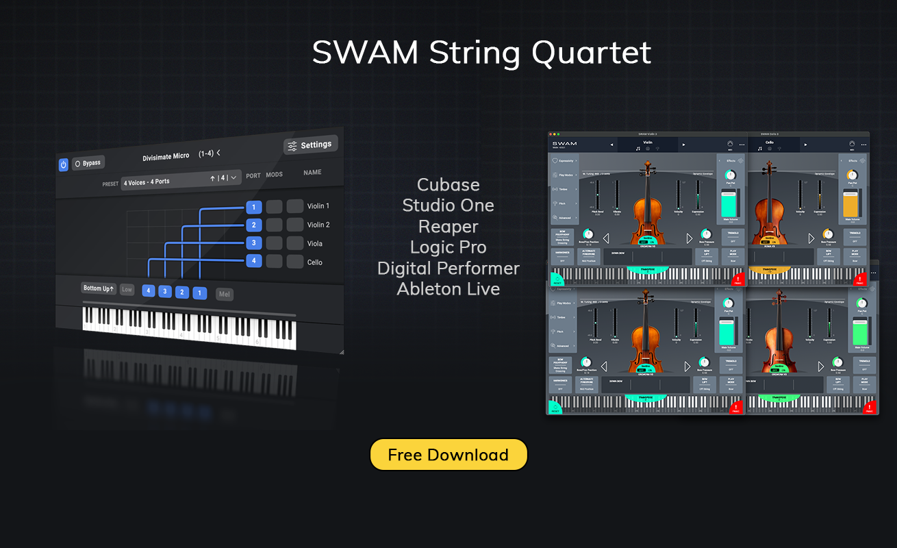String Quartet Micro